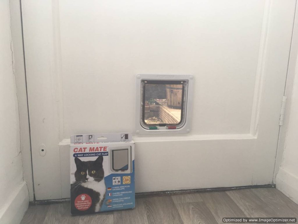 Cat Flap Installation Services